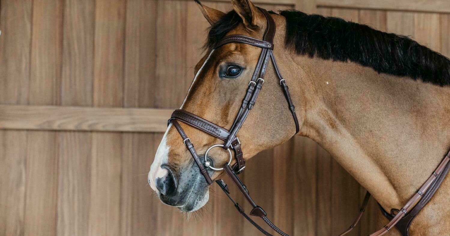 6 Meter Antenna Falcon 20 Meter Dipole Antenna For Ham Radio - Indoor ...